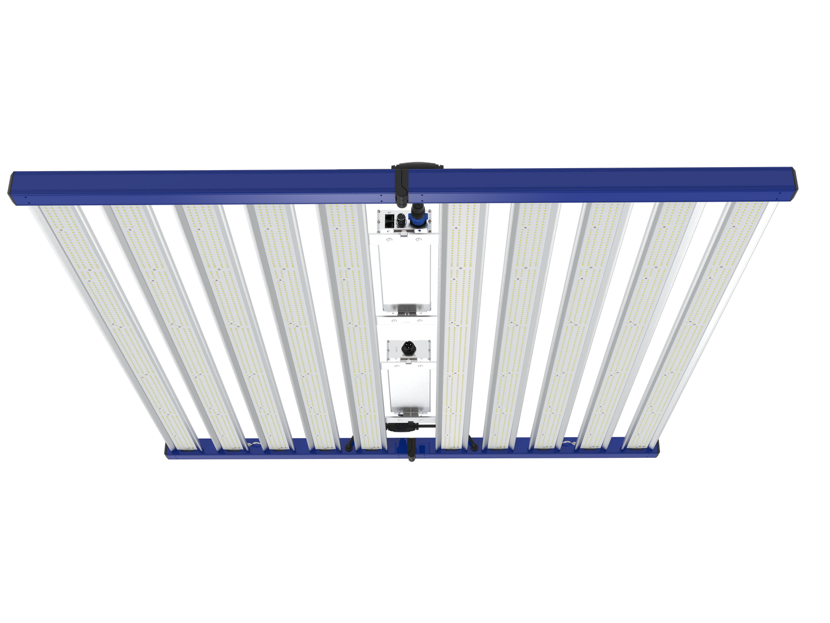 Tarantula Explorer - Grand Master LED | Elevated Organics